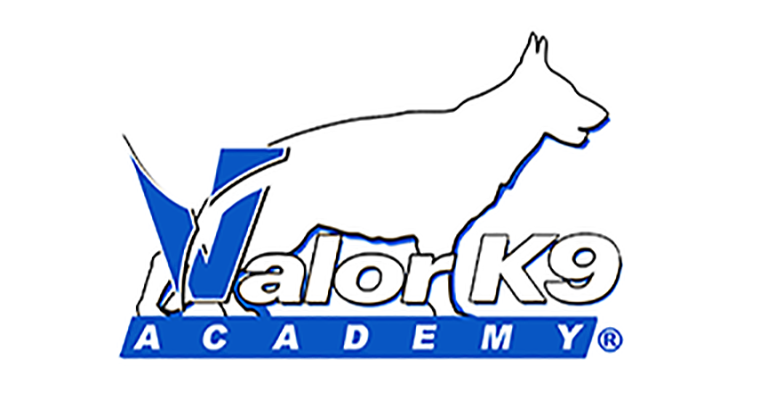 Dog Training Boise and Chattanooga - Valor K9 Academy